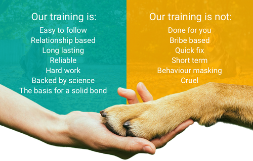 Our Training Explained - The Dog Training Company